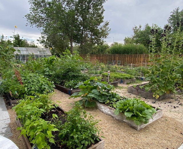 SLCC Community Gardens | SLCC